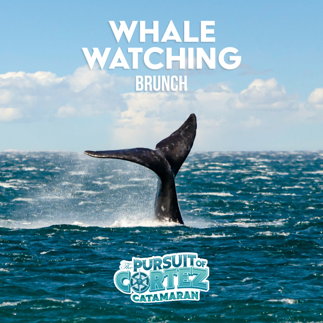 Signatures – Wild Canyon Adventures