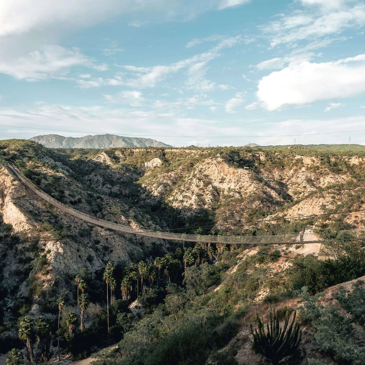 Regular Park Activities - Wild Canyon Adventures