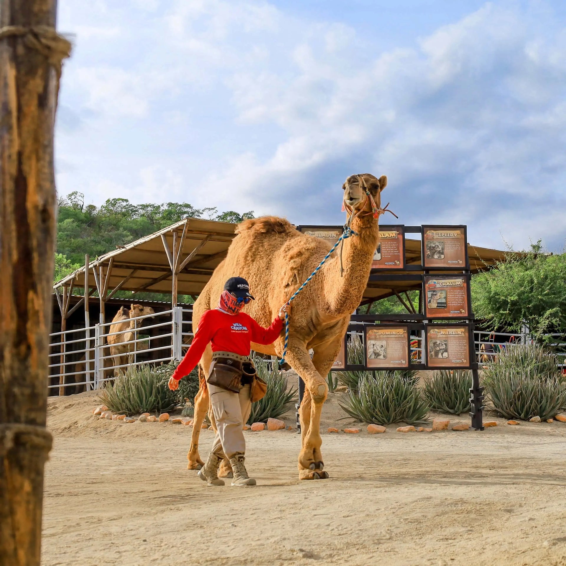 Dual Experience | Two Activities, One Special Price | Wild Canyon Park ...