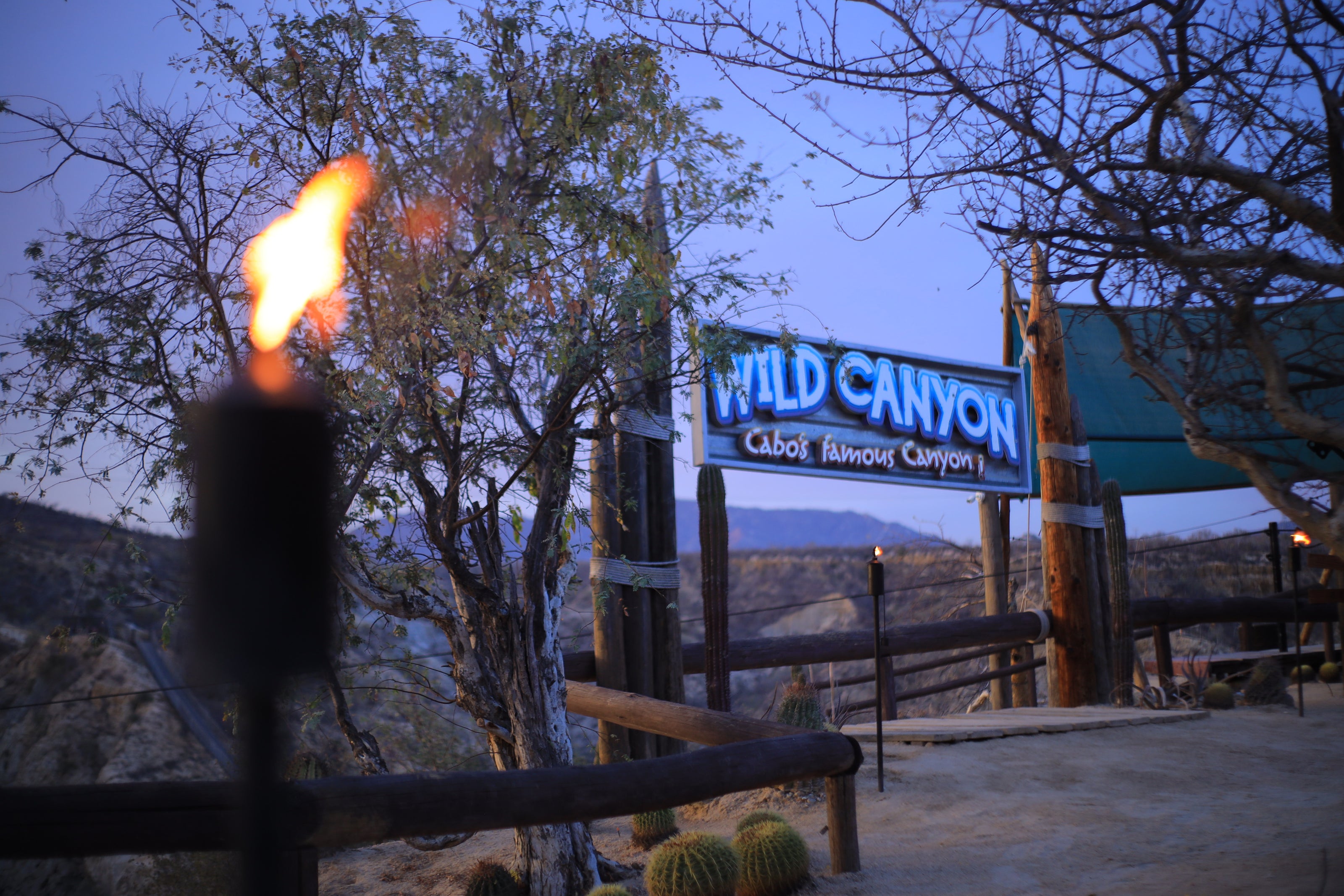 Wild Canyon Adventures, Los Cabos top tours and activities 🔥