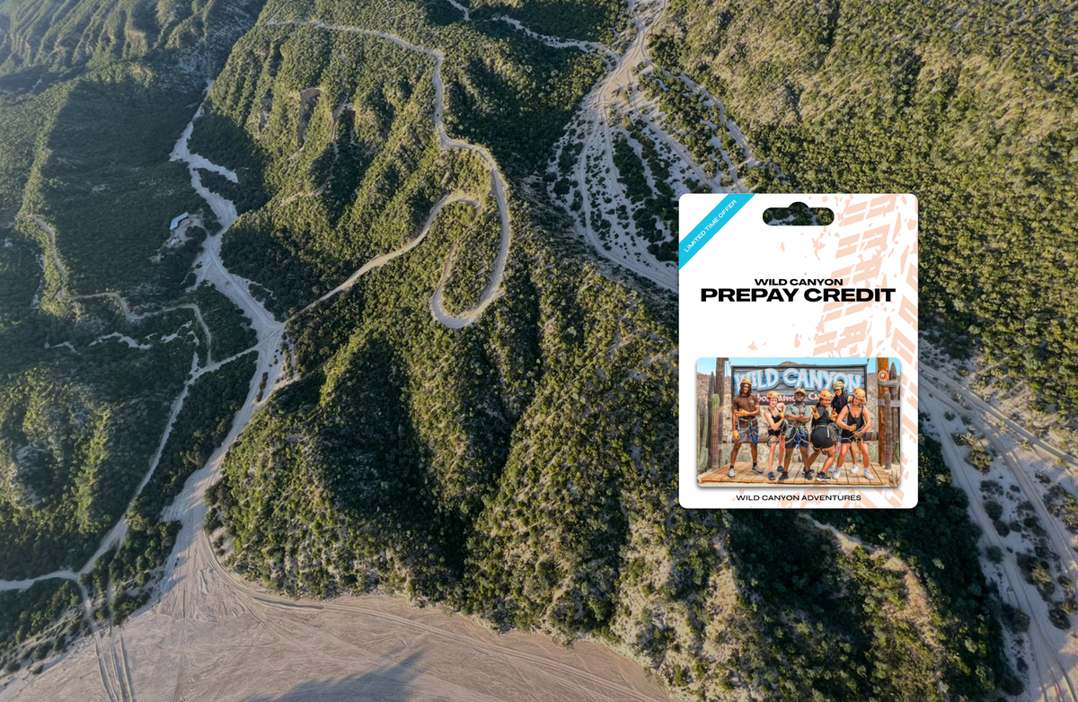 Wild Canyon Adventures: Adventure Park & Tours in Los Cabos, Mexico