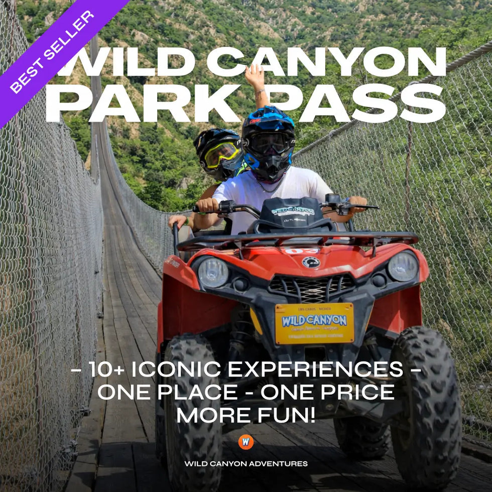 Wild Canyon Adventures: Adventure Park & Tours in Los Cabos, Mexico