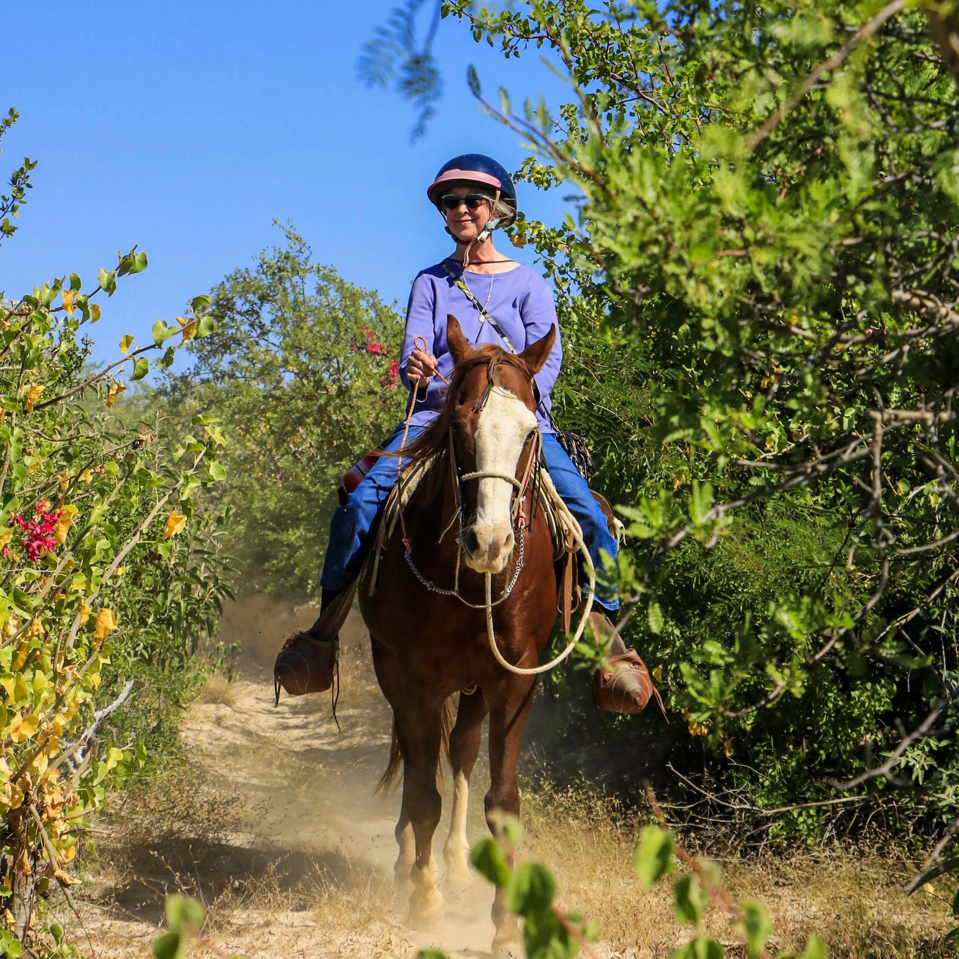 Ultimate Pass Wild Canyon | The Most Complete Package | Los Cabos ...