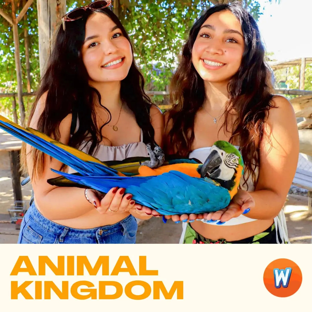 Animal Sanctuary Los Cabos | Animal Kingdom Experience | Wild Canyon ...