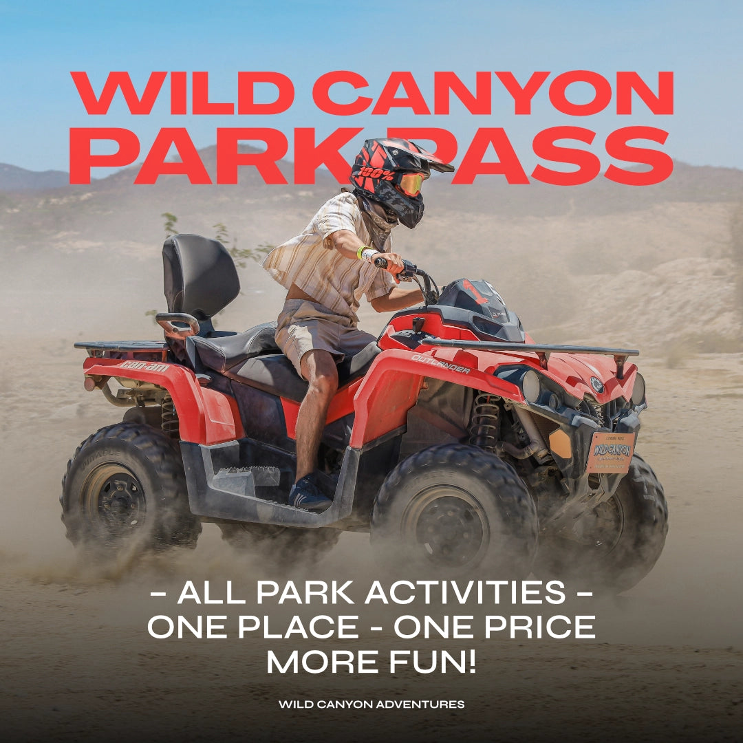 Wild Canyon Adventures, Los Cabos top tours and activities 🔥