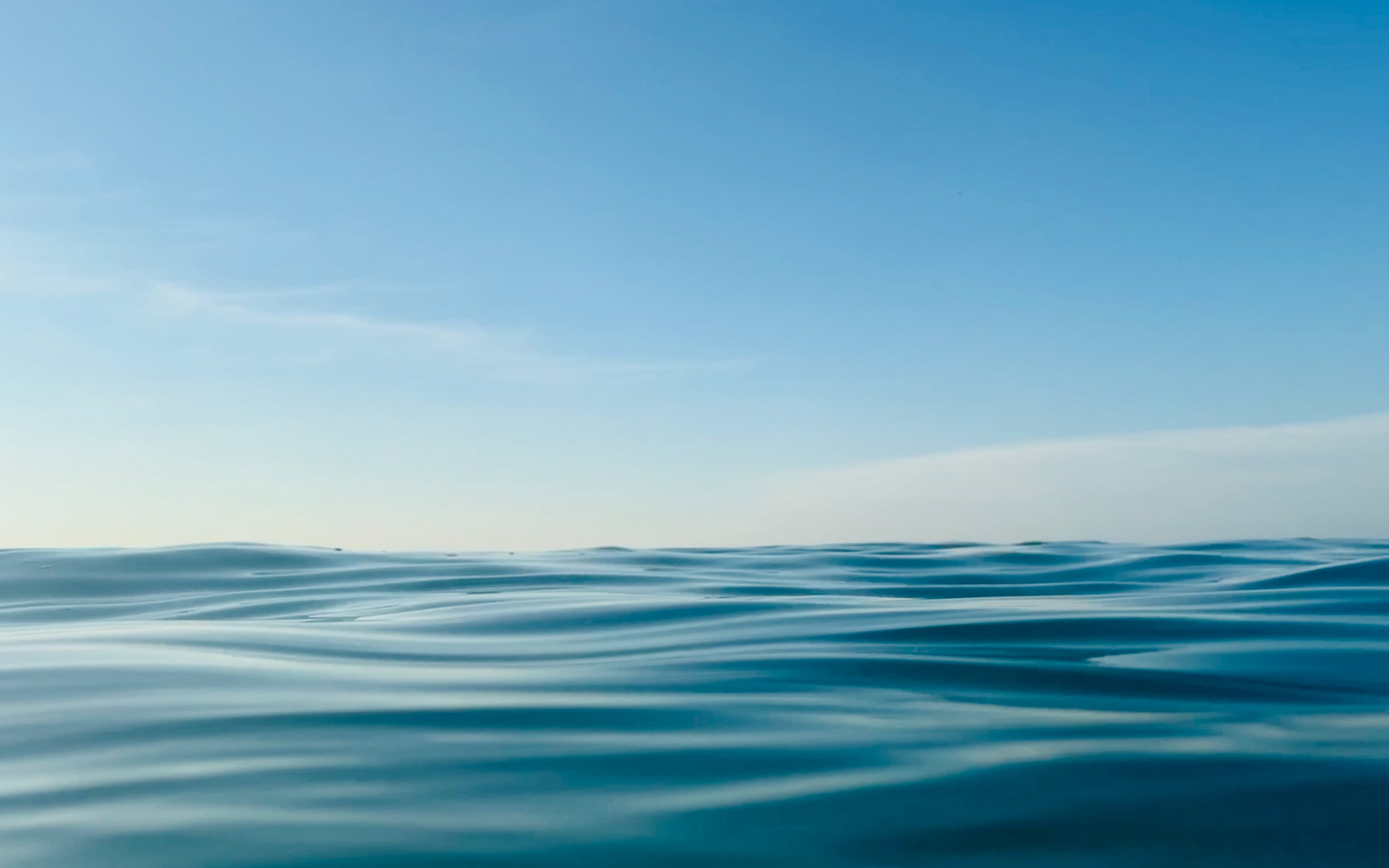 Boat Rentals in Los Cabos - Explore the Beauty of the Sea – Wild Canyon ...