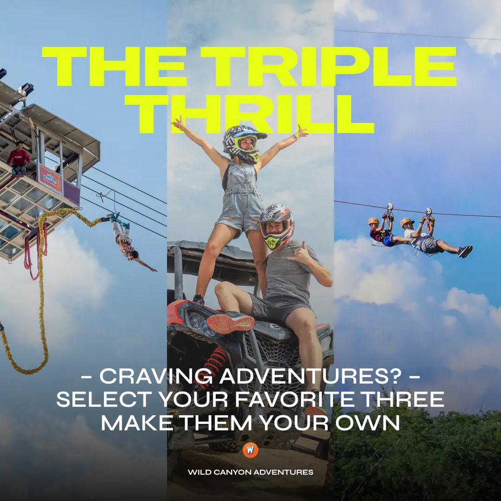 Wild Canyon Adventures, Los Cabos top tours and activities 🔥